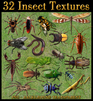 Second Life Marketplace - 32 INSECT TEXTURES.(PNG - BACKGROUND ...