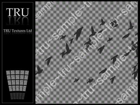 Second Life Marketplace - 12006: Dec 09 - 20 Frames of Time Sequenced ...