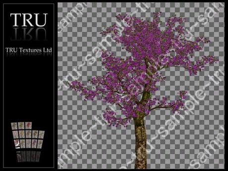 Second Life Marketplace - 12837: 12 x Summer Blossom Tree Textures 1024 ...