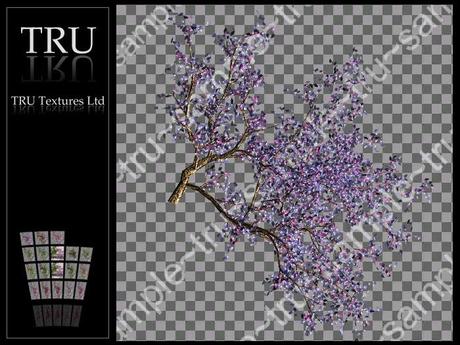 Second Life Marketplace - 12841: 17 x Tree Top Branch Textures Volume 3 ...