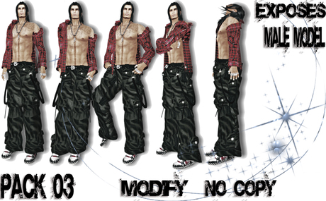 Second Life Marketplace - EXPOSES - MALE PACK MODEL 03 - NO COPY