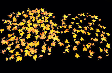 Second Life Marketplace - Full Perm 7 textures of Water Lily - Autumn ...