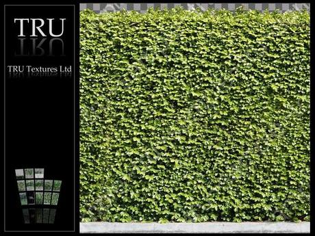 Second Life Marketplace - 10824: 12 x Seamless Shrub Hedge Textures ...
