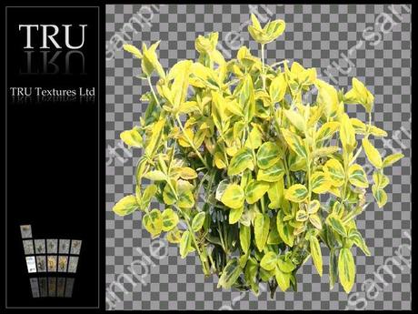 Second Life Marketplace - 28130: 10 x Mixed Plants & Flowering Shrub ...