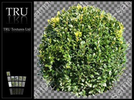 Second Life Marketplace - 28144:10 x Mixed Plants & Flowering Shrub ...