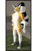 Second Life Marketplace - Chester Ringtail AV (By Kithylin Perth)