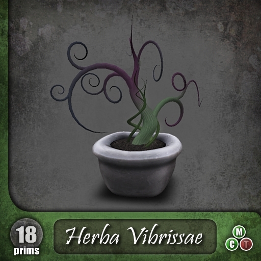 Second Life Marketplace - HBLYS_Herba Vibrissae