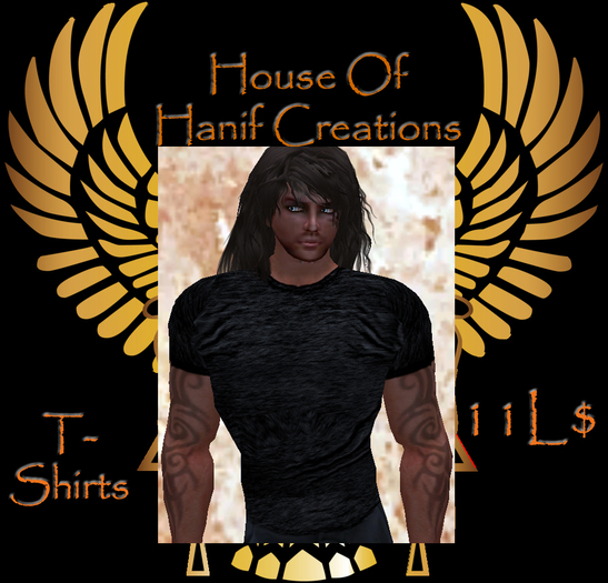 Second Life Marketplace - HOH Menswear - T-Shirt SET (black) / $20