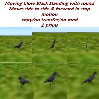 Second Life Marketplace - Moving Crow Black Bird Standing with sound ...