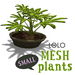 Second Life Marketplace - LOLO Potted House Plant #1 (100% mesh, counts ...