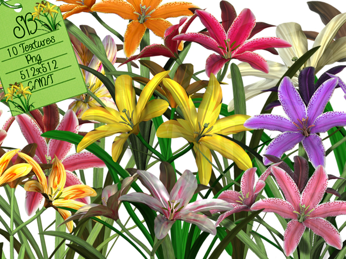 Second Life Marketplace - SB 10 LILY FLOWER PLANT ALPHA TEXTURES
