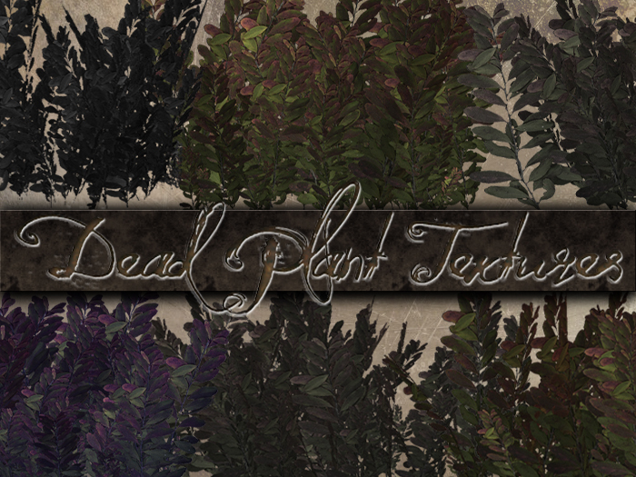 Second Life Marketplace - FULL PERM 6 Dry Leafy Plant Alpha Textures