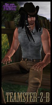 Second Life Marketplace - Teamster - 2-B -- Wagon or Cart Passenger ...