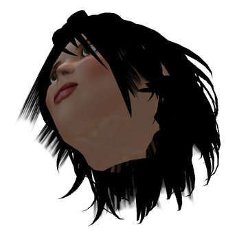 Second Life Marketplace - Sculpt Head Prim Sculptie SL UV Mapped Skin ...