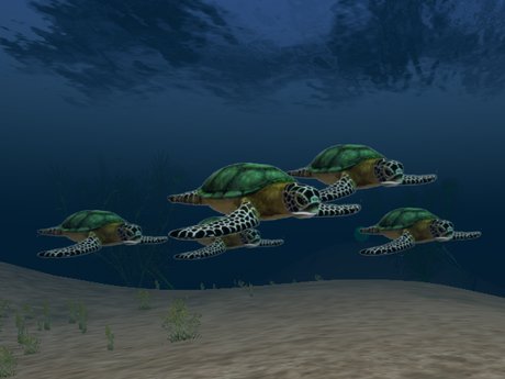 Second Life Marketplace - TA Sea Turtle Emmitter 2011
