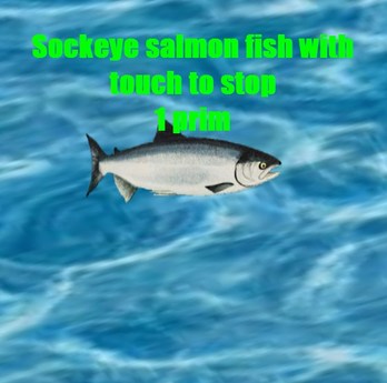 Second Life Marketplace - Large Sockeye salmon Fish swims in a circle ...