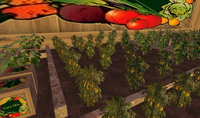 Second Life Marketplace - Yellow Tomato Patch V1 1 prim 15 plant - SALE ...