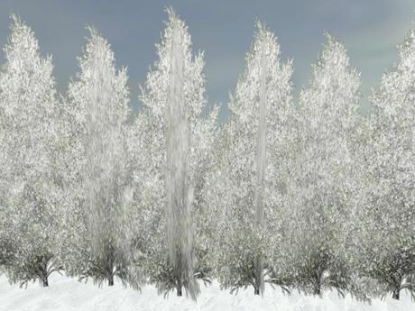 Second Life Marketplace - Colorado Spruce: Snow 30m Tree Screen (One of ...
