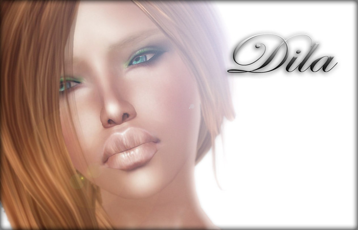 Second Life Marketplace Demo Dila Skin By Theshe