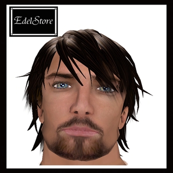 Second Life Marketplace