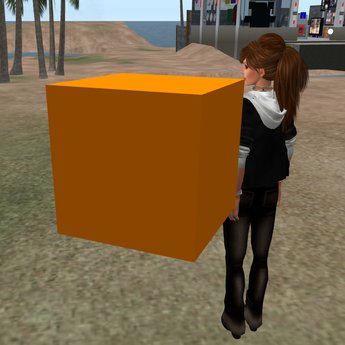 Second Life Marketplace - box follow me