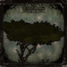 Second Life Marketplace - DARK MUSE botanicals - Black Forest V9 ...