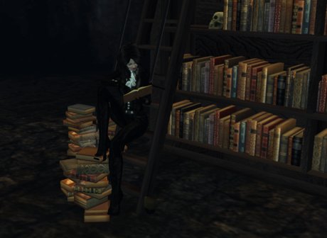 Second Life Marketplace - Dark Magic Library Walls for wizards ...