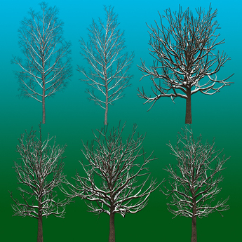 Second Life Marketplace - 6 Winter Tree Textures Builders Pack