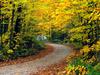 Second Life Marketplace - Autumn Drive
