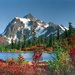 Second Life Marketplace - Autumn Mountains Privacy Screen 20x20 Alpha ...