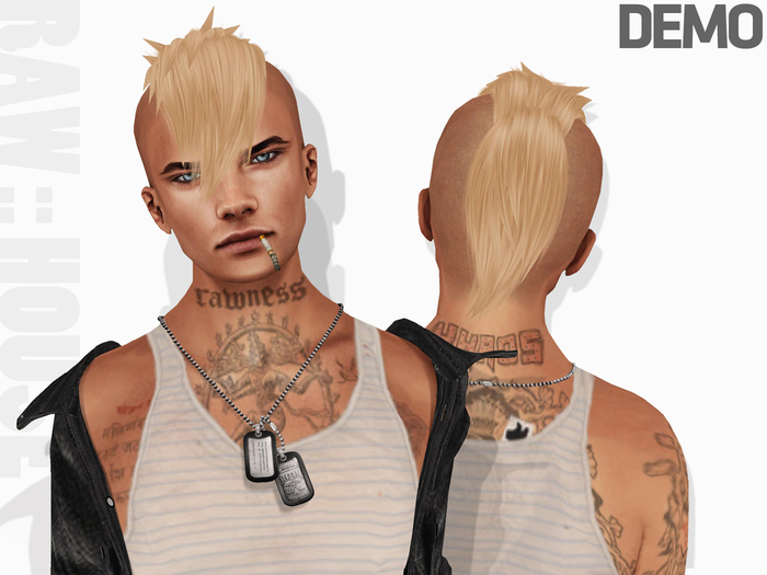Second Life Marketplace - RAW HOUSE :: Destroyer 2 Hair DEMO