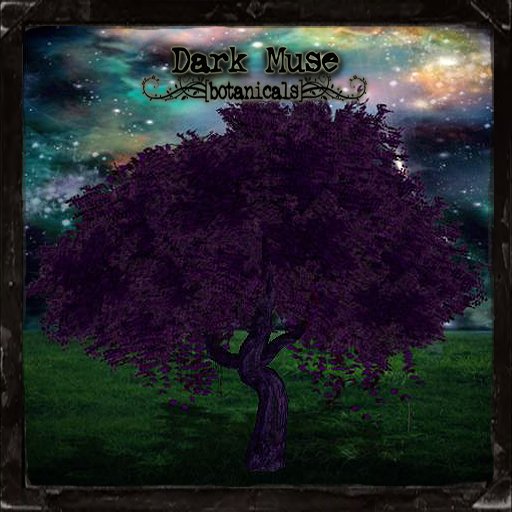 Second Life Marketplace - DARK MUSE botanicals - Anastasias V2 - Tree ...