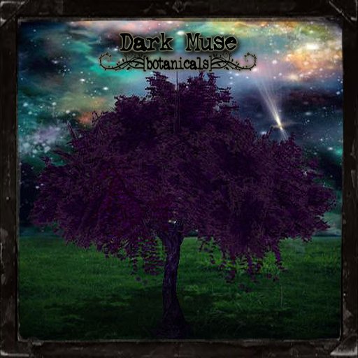 Second Life Marketplace - DARK MUSE botanicals - Anastasias V4 - Tree ...