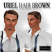 Second Life Marketplace - EdelStore man hair " Uriel " brown male hair ...