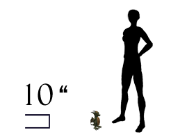 Second Life Marketplace - Micro Drake - Miniature Dragon Avatar - MESH