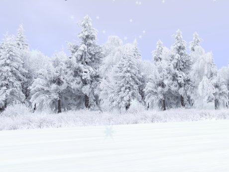 Second Life Marketplace - Dreamscape Winter Snow Screen Snowy Trees ...