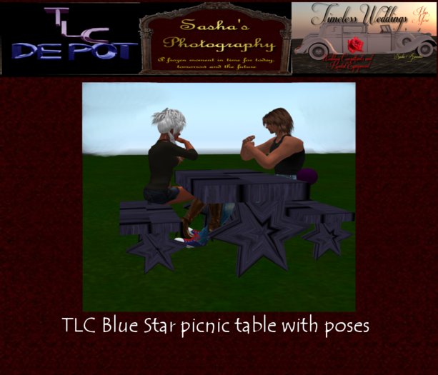 Second Life Marketplace - TLC Depot (box) Blue Star table and benches pose