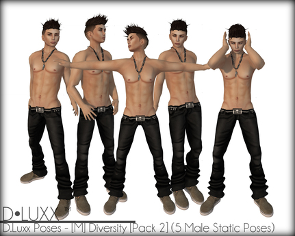 Second Life Marketplace - D.Luxx Poses - [M] Diversity [Complete Set ...