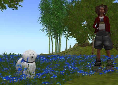 Second Life Marketplace - Maltese Dog - LOLO Wonderful Pet Dog