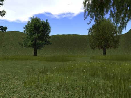 Second Life Marketplace - 75 meter Skybox with Sculpted grass covered ...