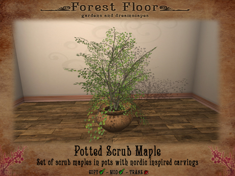 Second Life Marketplace - ~*Forest Floor*~ Potted Scrub Maple