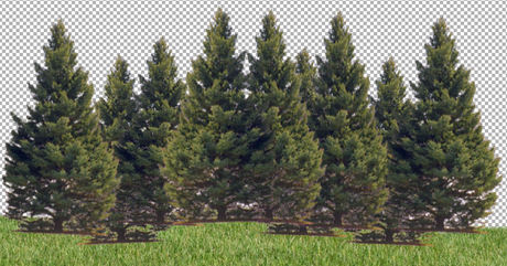 Second Life Marketplace - PINE FOREST PRIVACY SCREEN 15x40
