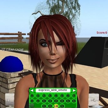 Second Life Marketplace - Face Animator