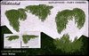 Second Life Marketplace - Balderdash - Saiygewood - Corner creepers set ...