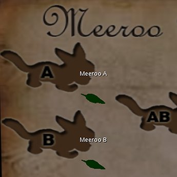 Second Life Marketplace - Tali's Meeroo Back Breeding Chart ~ Natural Tones