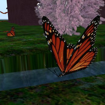 Second Life Marketplace - Wind Blown Monarch Butterflies