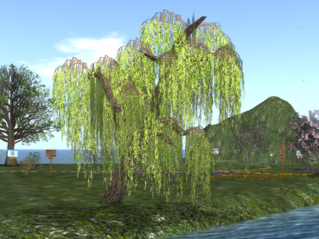Second Life Marketplace - Weeping Willow RIVERBANK Tree PACK (3x ...