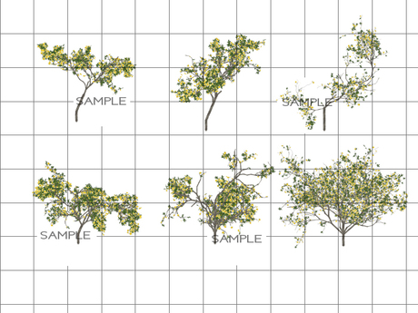 Second Life Marketplace - Tree Branches Alpha Textures - Set 1