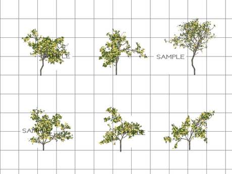 Second Life Marketplace - Tree Branches Alpha Textures - Set 1