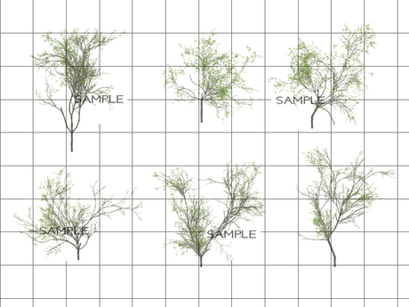 Second Life Marketplace - Tree Branches Alpha Textures - Set 2